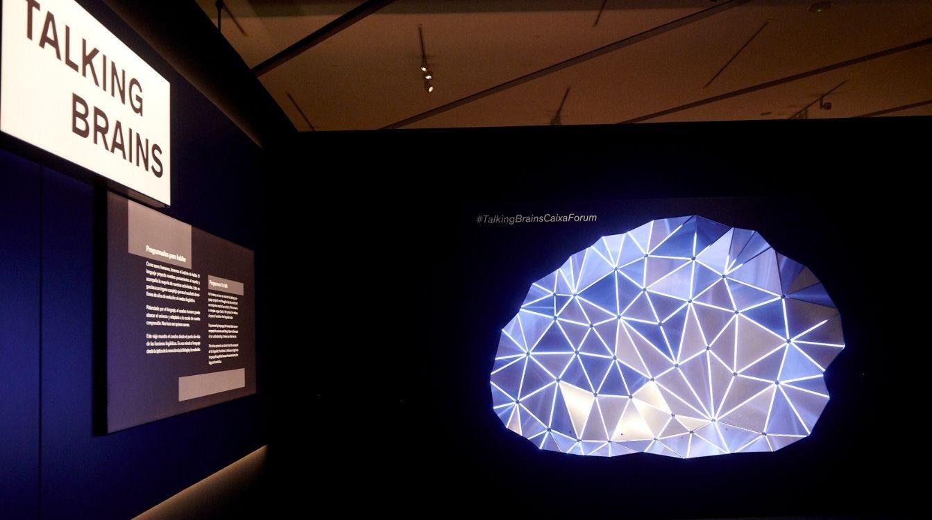 CaixaForum Zaragoza inaugura la exposición Talking Brains, programados ...