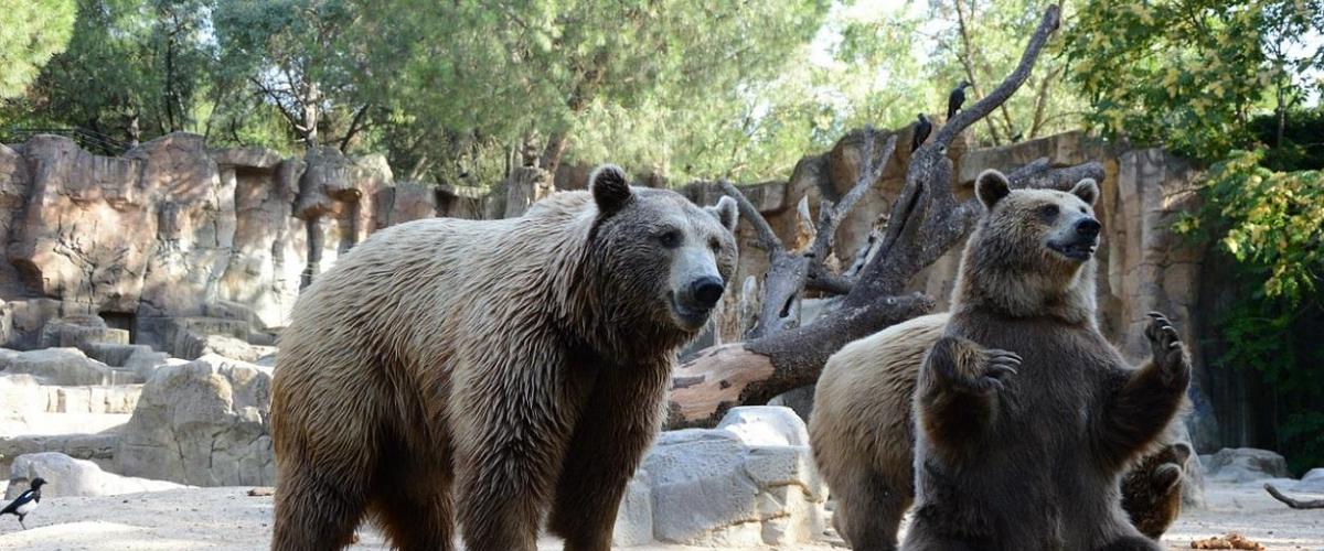 9 planes para disfrutar de Madrid en el Puente de Mayo