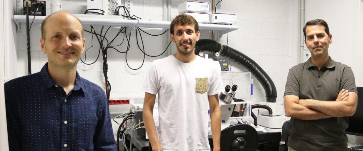 Importante descubrimiento científico sobre el intestino