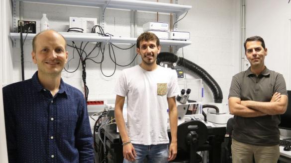 Importante descubrimiento científico sobre el intestino