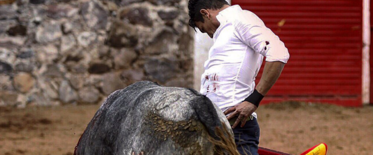 El torero José María Manzanares, nuevo nombre de los Pandora Papers