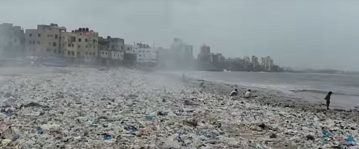 'Clean Seas': la iniciativa para limpiar los océanos