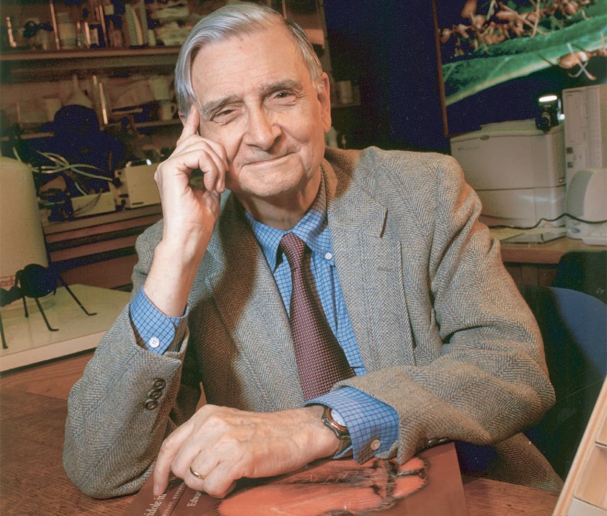 En memoria de Edward O. Wilson