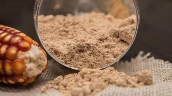 Gofio canario: ¿qué es y cuáles son sus propiedades?