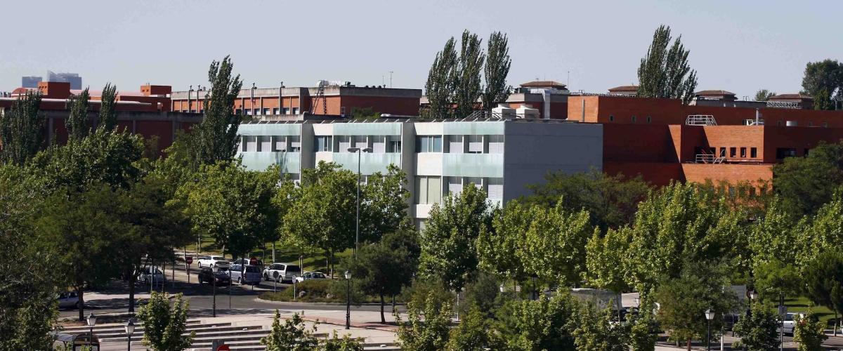La UAM recibe parte del Legado Gandarias con la serie de cuadros 'El ...