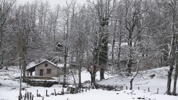 Este es el día que vuelve el frío de invierno a España
