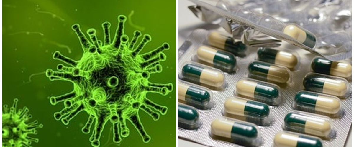 Las bacterias multirresistentes a los antibióticos causan más de 30.000 ...