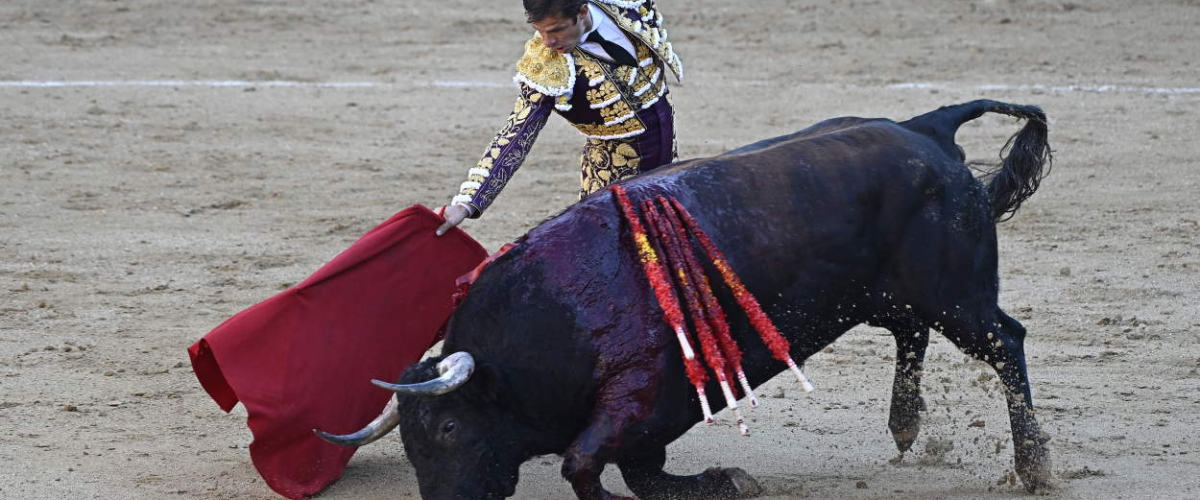 Fin del Premio Nacional de Tauromaquia