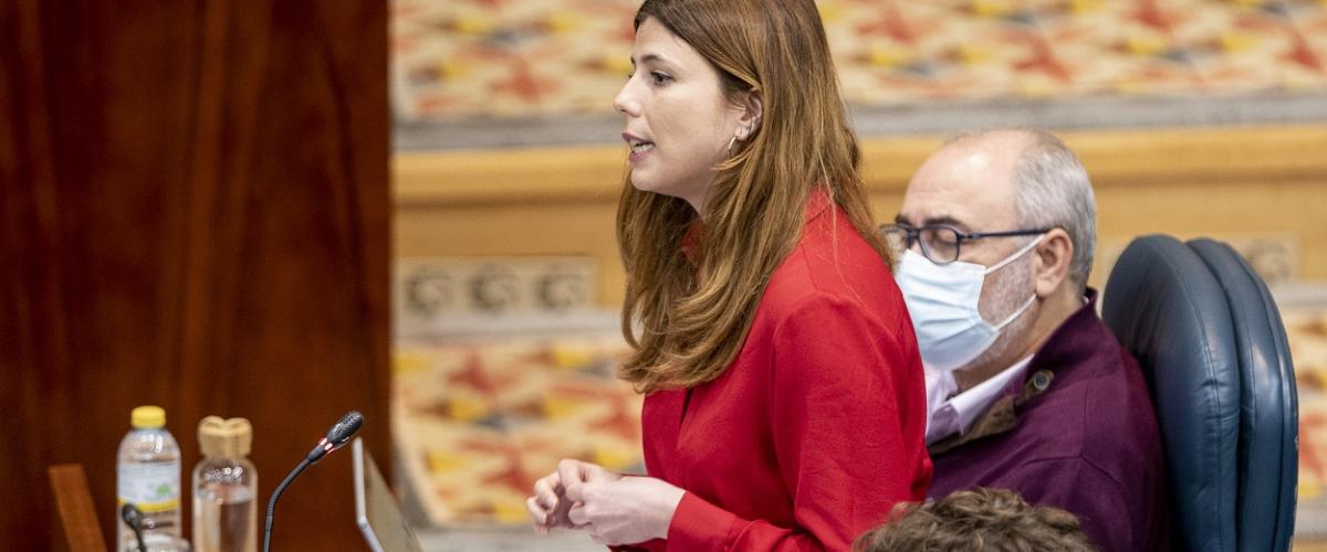 Loreto Arenillas notifica a Más Madrid su baja médica