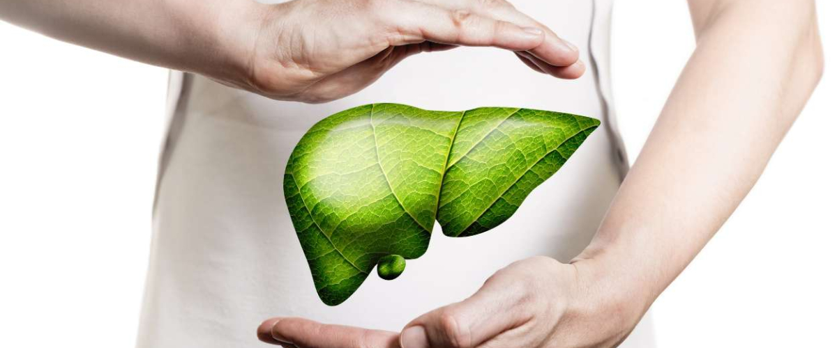 Cuatro snacks que pueden ayudar a revertir el hígado graso, según un ...