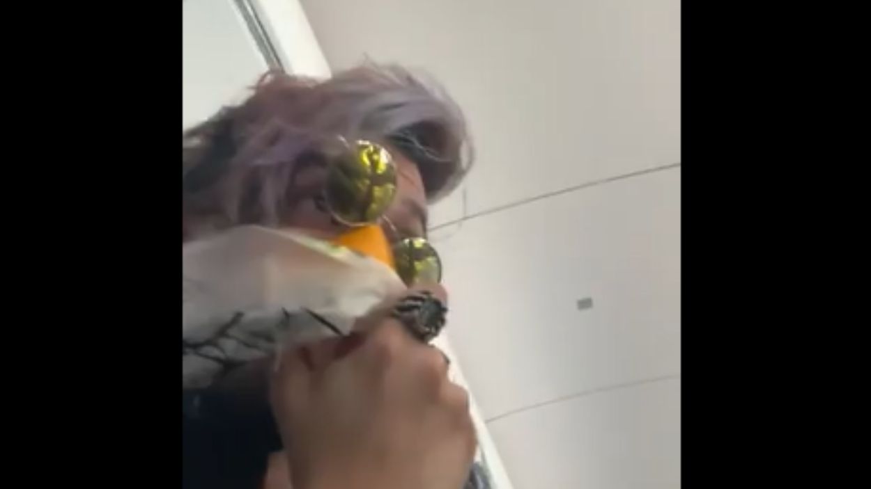Pasajero del vuelo con destino París. X
