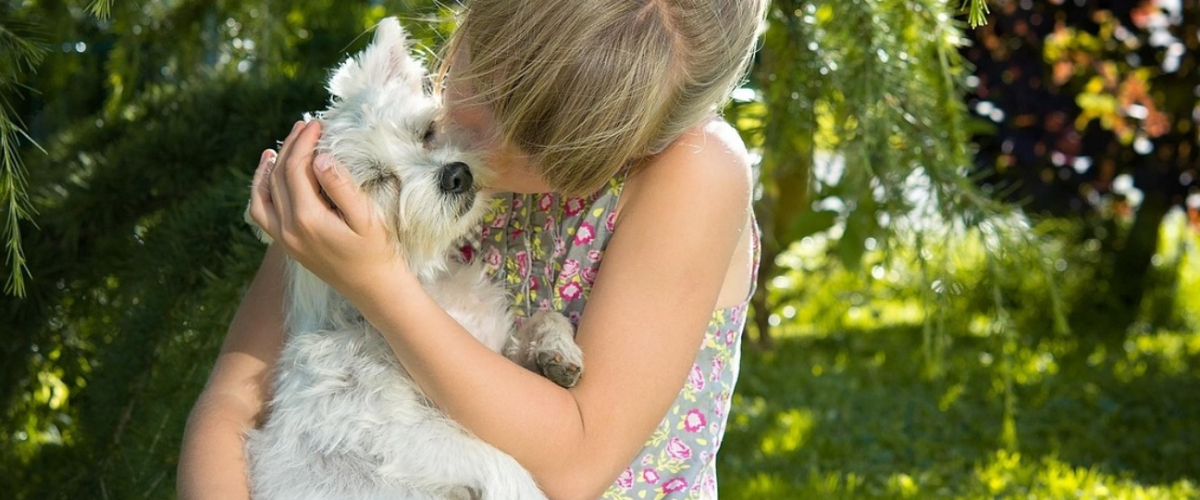 5 grandes beneficios que tiene para un niño criarse con un perro